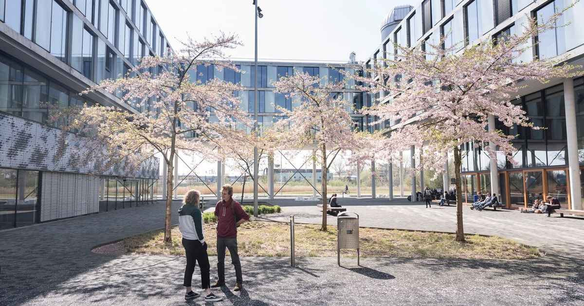 About inter- and transdisciplinarity - IIS - University of Amsterdam